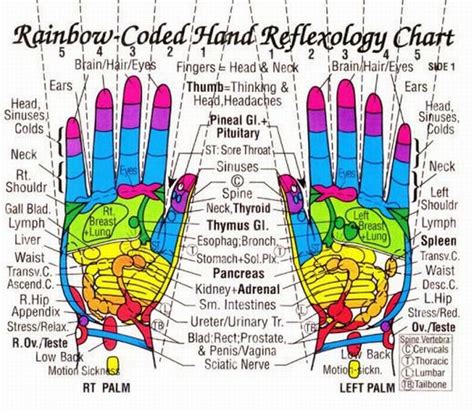 My Own Thoughts Acupressure Reflexology Charts Collection