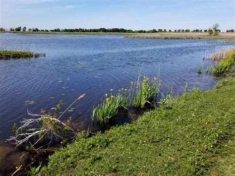 Dwayne Rogness Posted On Linkedin