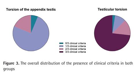 Torsion Of The Testis Or Appendix Testis An Analysis Of Presentation Torsion Of The Testis Or Appendix Testis An Analysis Of Presentation