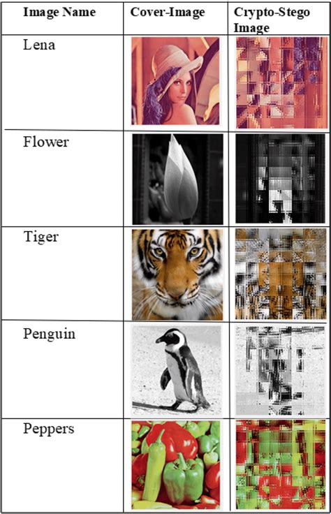 Cover Image And Resultant Crypto Stego Image Download Scientific Diagram