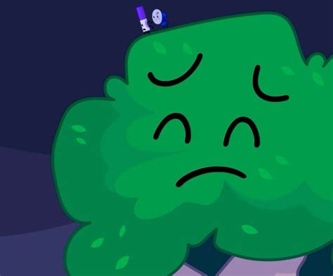 Tree TPOT In Tree Have Board Our Lord