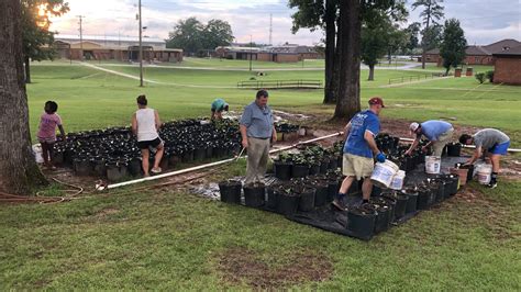 Demonstration Tree Nursery Campus Planning And Resource Management