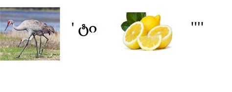 სახალისო მათემატიკა