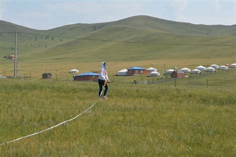 Судлаачдад “Бэлчээрийн мониторинг үнэлгээний арга зүй” сэдвээр сургалт явуулав Монголын