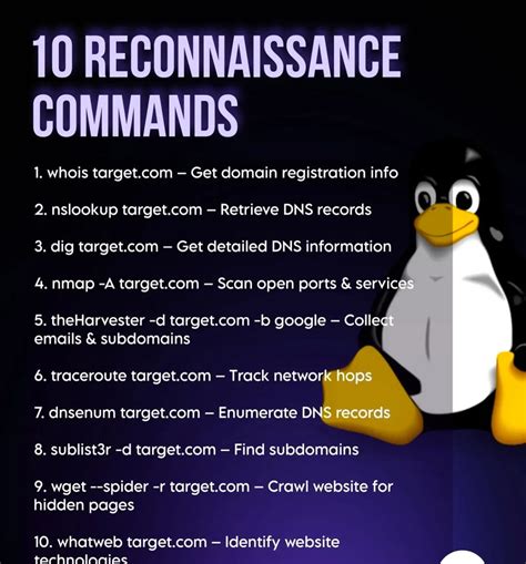 💻 h cӃ€₹ part 1 80 hacking commands hack cybersecurity kalilinux