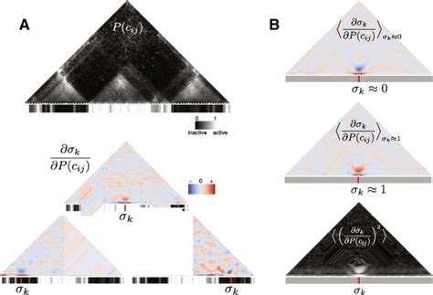 Dense Neural Networks For Predicting Chromatin Conformation Bmc Bioinformatics