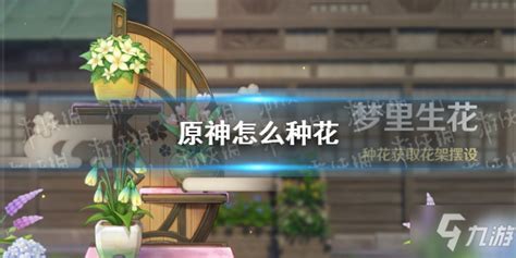 原神怎么种花 原神种花方法与你分享 原神 九游手机游戏