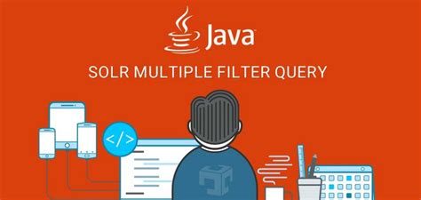 Solr Multiple Filter Query Java Developer Zone