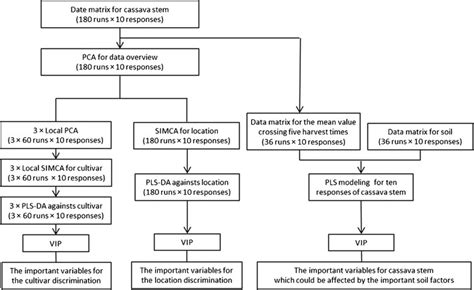 Flow Chart Of The Modelling Download Scientific Diagram