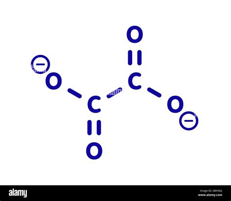 Oxalate Lewis Structure