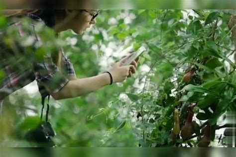 微信聊天时 聊天框显示正在输入是什么意思这下终于明白了 意思 显示 什么