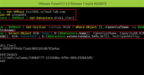 Powercli Virtual Machine Storage Migratesvmotion And Datastore Port Binding Multipathing