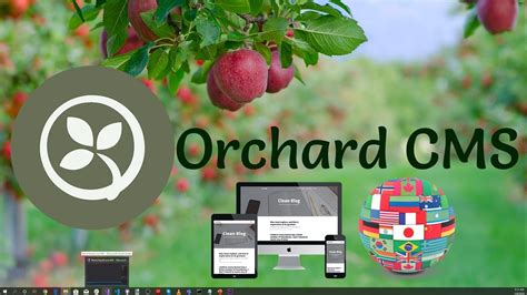 Creating A Custom Theme For Internalization I18n Localization L10n In Orchard Core Youtube