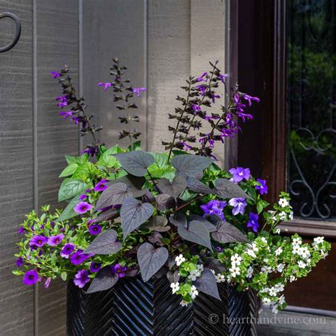 Front Door Planters For Summer