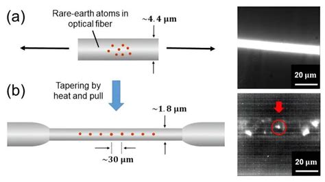 Optical Fiber Based Single Photon Light Source At Room Temperature For Next Generation Quantum