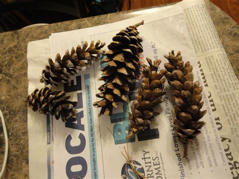 Pinecone Fire Starters Leah And Joe Home Diy Projects And Crafts