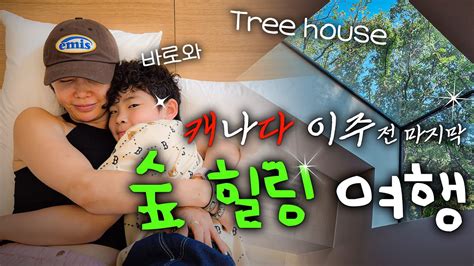 Vlog 바로와 함께 떠나는 숲 힐링여행 올 여름 휴가는 숲속으로 😂 Youtube