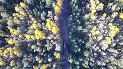 Ikea Sundvik Range Allegedly Made Of Illegally Felled Wood