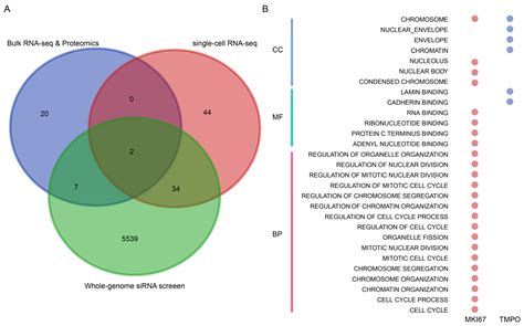 Ijms Free Full Text Single Cell Transcriptome Identifies The Renal Cell Type Tropism Of