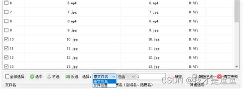 文件管理专家一键复制与分类大量文件的艺术,批量改文件名的提效办公软件 Csdn博客 文件管理专家一键复制与分类大量文件的艺术,批量改文件名的提效办公软件 Csdn博客