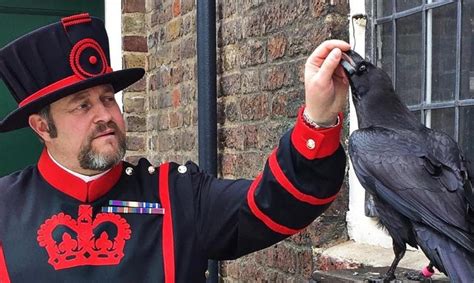 Tower Of Londons Ravenmaster Coming To Nottingham Mansfield Ashfield Sherwood News Journal