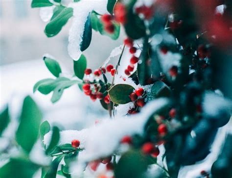 Cra Extends Pilot Cvitp Grant Project For A Fifth Year Connecting