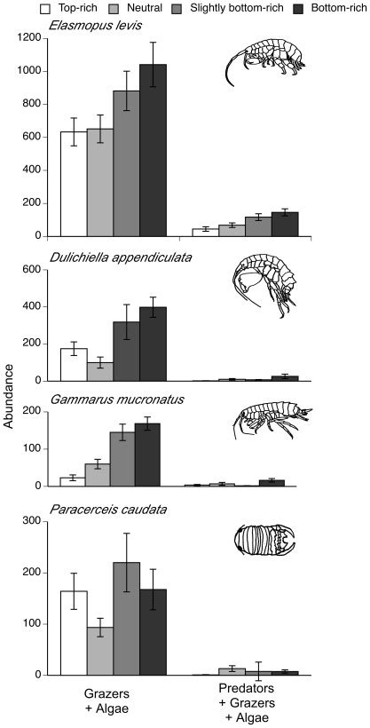 Final Grazer Abundance Per Species Across Trophic Skew Treatments In