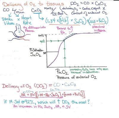 Respiratory Calculations Melissa Pryde MsRC RRT