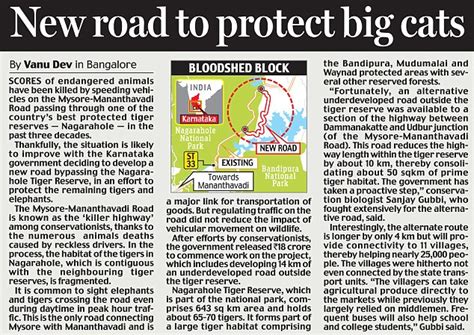 Botched Tiger Death Register Rings Alarm Amid Fears Nations Big Cats