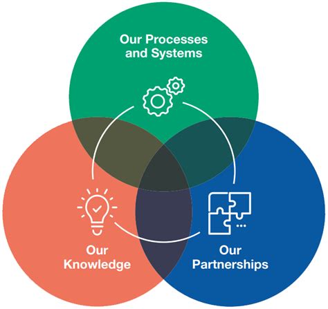 Key Differentiators