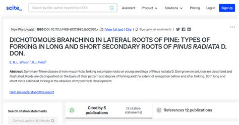 Dichotomous Branching In Lateral Roots Of Pine Types Of Forking In Long And Short Secondary