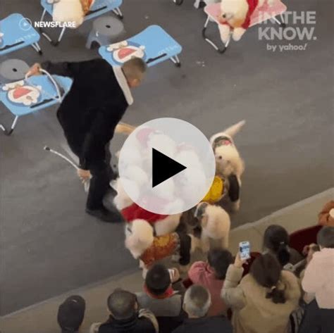 줄넘기 개고수mp4 ㄷㄷㄷㄷㄷㄷ 유머움짤이슈 에펨코리아