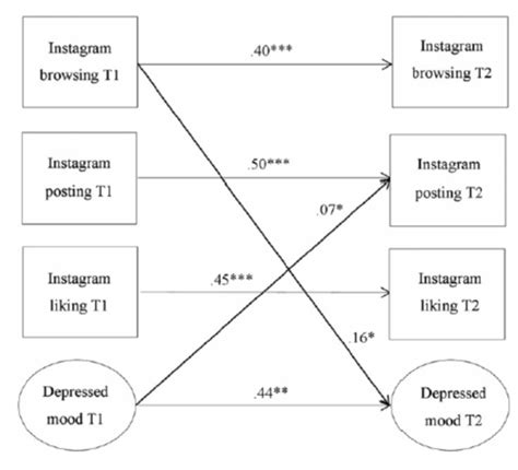 A Exam Assignment Questions Flashcards Quizlet