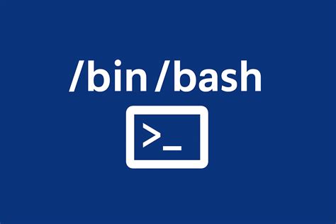 Bin Bash Guía Completa Para Usuarios En Linux Iespai