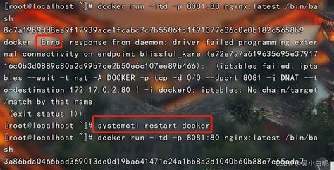 Docker Error Response From Daemon Driver Failed Programming External Connectivity On Endpoint