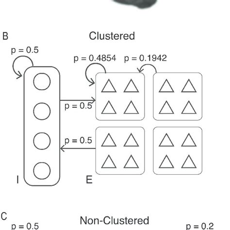 Neural Populations And Network Models A Neural Activity Was Recorded Download Scientific