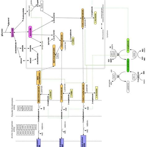 Basic Diagram Of Dna Microarray Technique Employing Two Color Labels Download Scientific