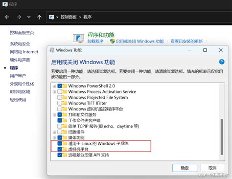 建议立刻将 Wsl Vscode 作为你的最强生产力环境，起飞吧wsl Vscode Csdn博客