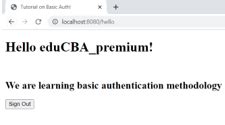 Spring Boot Basic Authentication How To Perform Examples