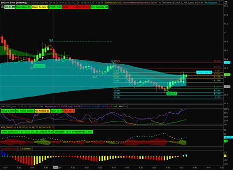 Helpful Additional Fib Retracement Properties For Thinkorswim Usethinkscript Community