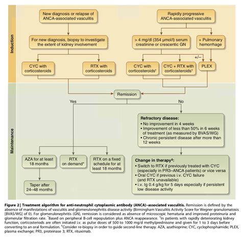 Edgar V Lerma 🇵🇭 On Twitter Treatment Algorithm For Anca Associated