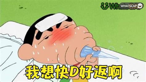 我想快D好返啊 Whatscap
