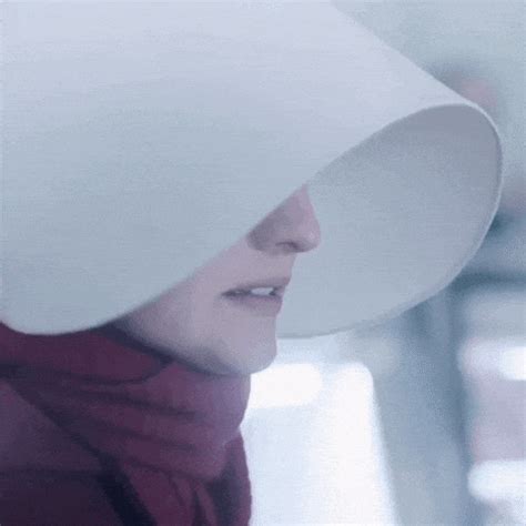 The Handmaids Tale The Handmaids Tale  The Handmaids Tale