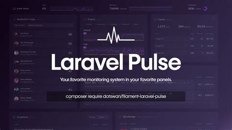 laravel pulse by dotswan filament