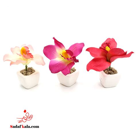 گل کوچک صدف کالا فروشگاه بزرگ صدف