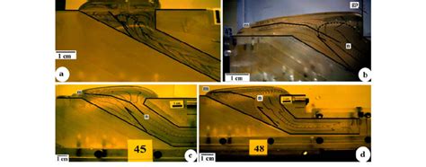 A The Out Of Sequence Thrust Reached The Vent Within The Compressional