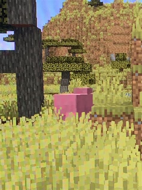 My First Ever Natural Spawning Pink Sheep Rminecraft