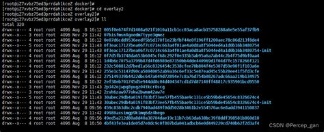 docker部署项目， var lib docker overlay2目录满了如何清理？ docker overlay2 merged满了