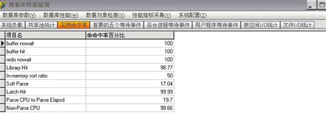 oracle数据库性能监视小软件 oracle数据库监控、性能检查小工具 opct csdn博客