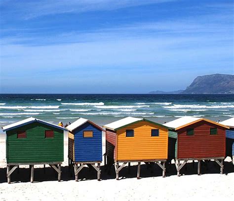 ხის საღებავები ლაზური და ტერასის ზეთი გლიმტრექსი